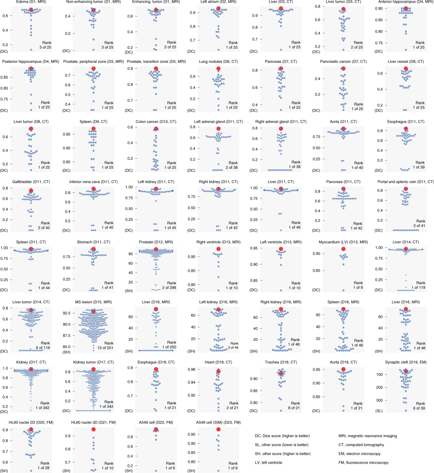 nnU-Net: a self-configuring method for deep learning-based biomedical image segmentation – NMMItools